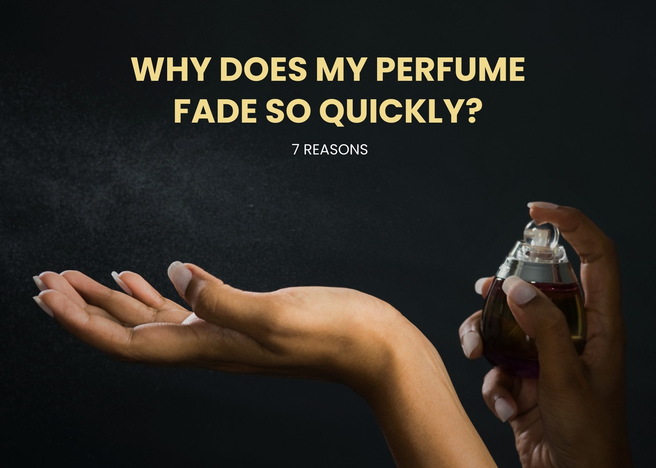 7 Reasons Your Perfume Doesn't Last and How to Fix Them – Typsy Beauty