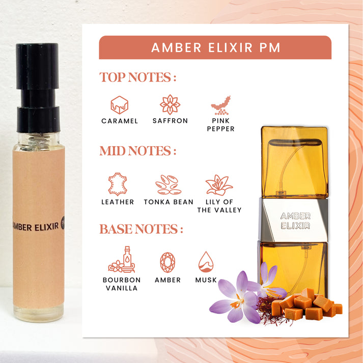 Amber Elixir - Dual sided bottle with two distinct scents – Typsy Beauty